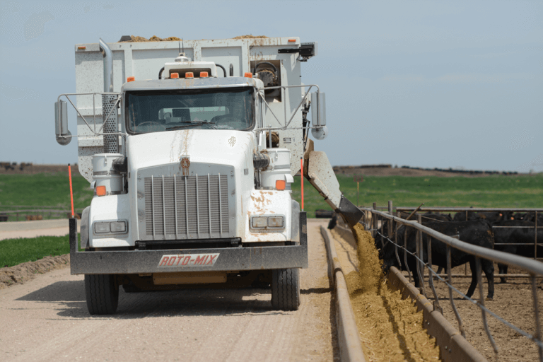 Weaning - CAB Cattle