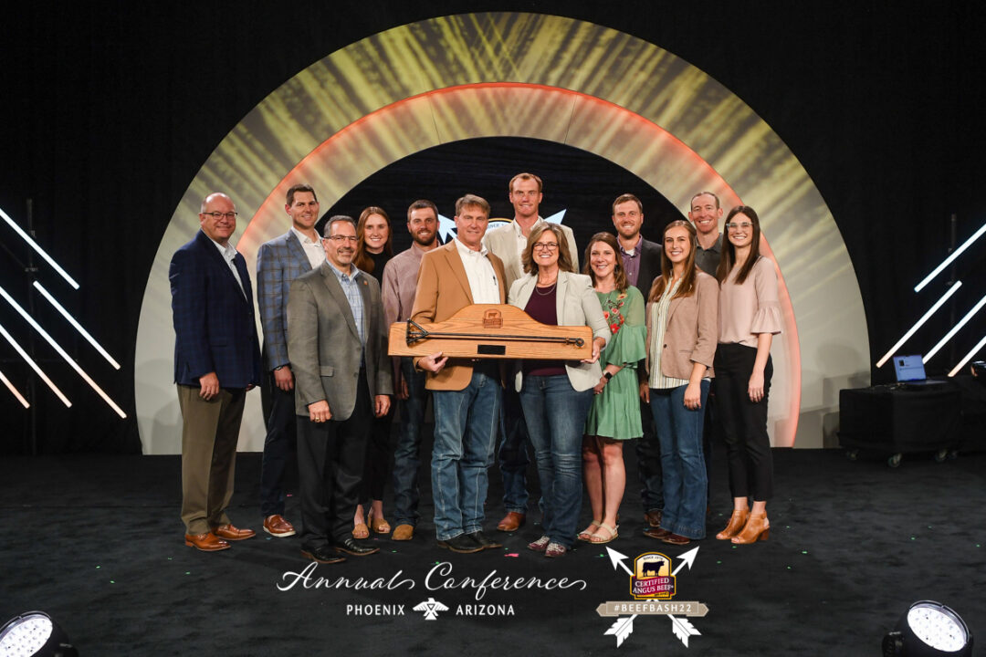 Progress, Not Perfection - CAB Cattle