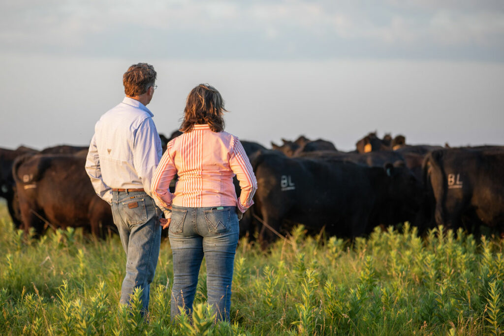 Progress, Not Perfection - CAB Cattle