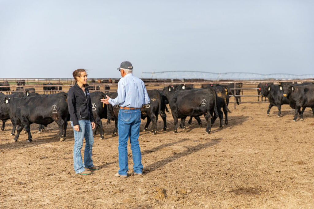 Like Father, Like Daughter - CAB Cattle