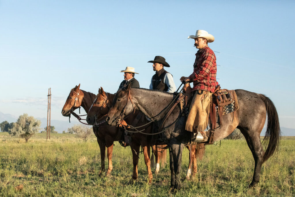 Going Above and Beyond - CAB Cattle