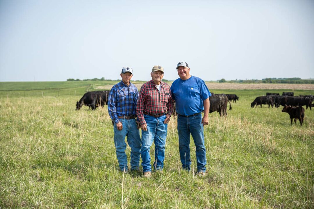2023 CAB Awards - CAB Cattle