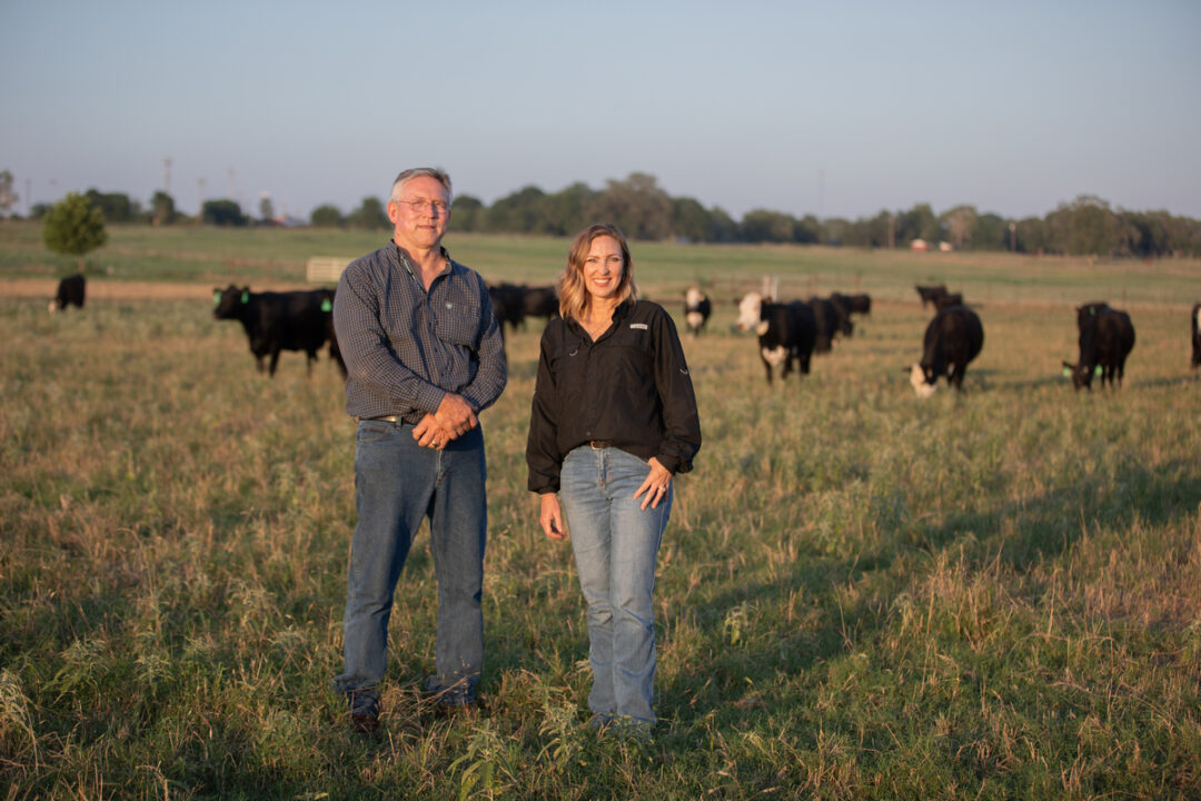 2024 CAB Awards - CAB Cattle