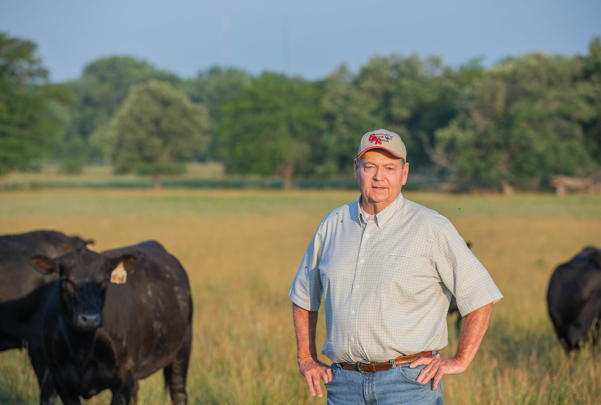 Serving His Passion - CAB Cattle