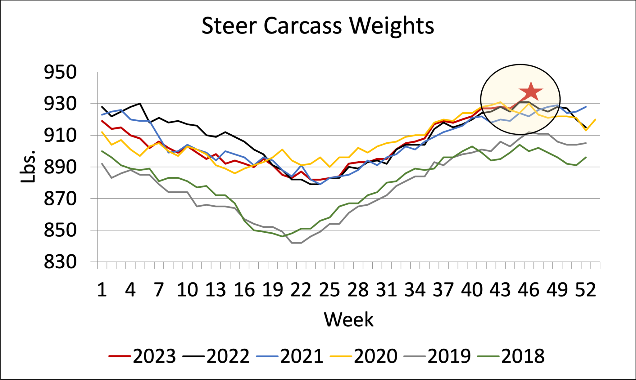 Misaligned Cattle Markets and Record-high Carcass Weights - CAB Cattle