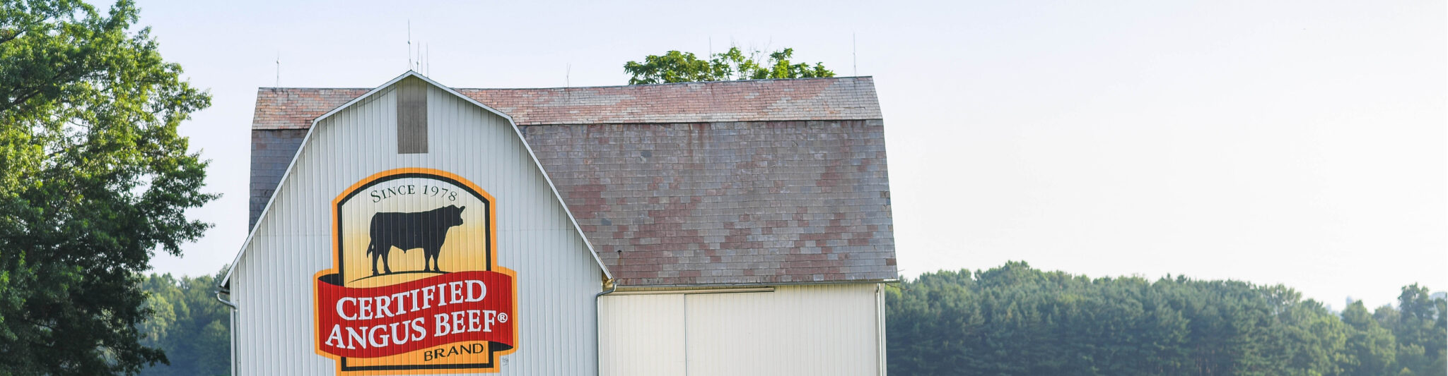 Farm Purchase Helps Certified Angus Beef Tell a Better Story - CAB Cattle