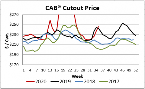 CAB Tonnage up, premium spike emerges - CAB Cattle