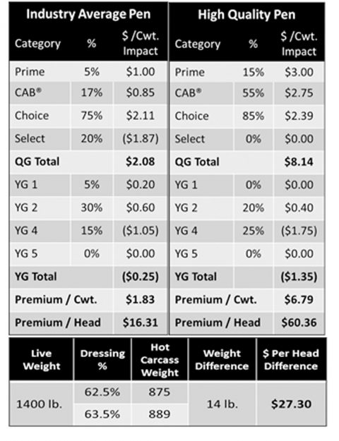 Quality beef grade, dressing percentage and grids - CAB Cattle