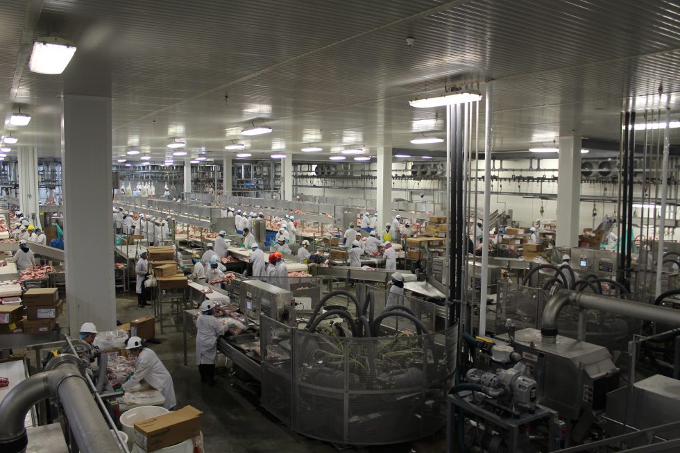 DemKota begins producing the Certified Angus Beef ® brand - CAB Cattle