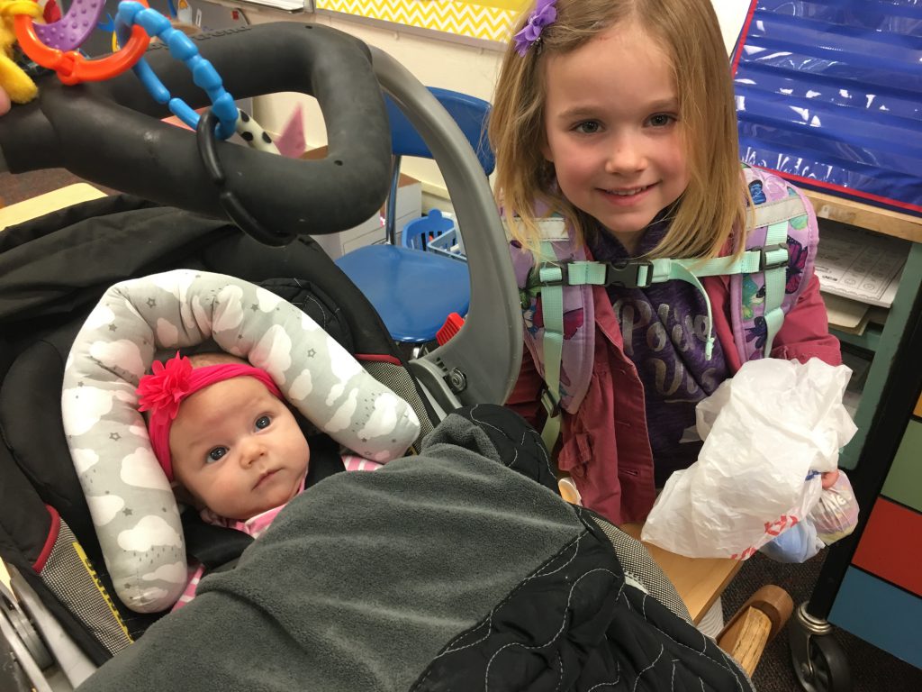 The 1st grade approach - CAB Cattle