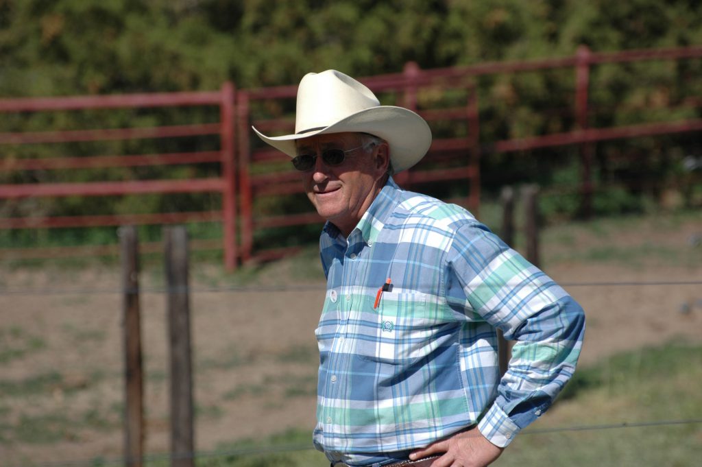 Keeping after it - CAB Cattle